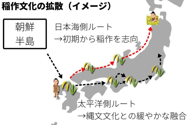 【弥生時代の稲作とは】日本の米づくりの始まりをわかりやすく解説｜リベラルアーツガイド