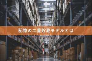 【記憶の二重貯蔵モデルとは】系列位置曲線などからわかりやすく解説｜リベラルアーツガイド